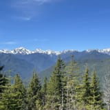 Mount Walker, Washington - 2,016 Reviews, Map | AllTrails