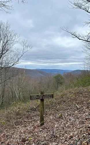 Best Fishing Trails in Cedar Run | AllTrails