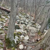 Zoar Trail, Connecticut - 2,148 Reviews, Map | AllTrails