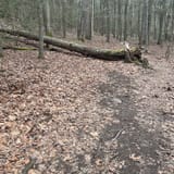 Zoar Trail, Connecticut - 2,148 Reviews, Map | AllTrails