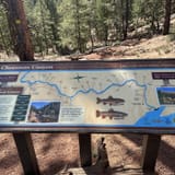 Cheesman Canyon, Colorado - 2,123 Reviews, Map | AllTrails