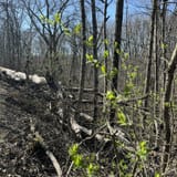 Emma Carlin Trails: Green Loop, Wisconsin - 411 Reviews, Map | AllTrails