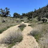 Warren Peak via Black Rock Trail and Panorama Loop, California - 1,096 ...