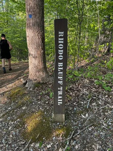 Best Views Trails in Duke Forest Korstian Division | AllTrails