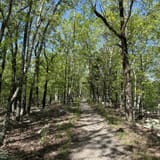 Sunset Trail, Arkansas - 747 Reviews, Map | AllTrails