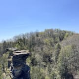 Window Cliffs Trail, Tennessee - 1,431 Reviews, Map | AllTrails