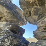 Window Cliffs Trail, Tennessee - 1,431 Reviews, Map | AllTrails