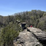 Window Cliffs Trail, Tennessee - 1,431 Reviews, Map | AllTrails
