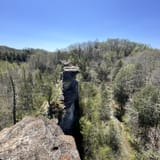 Window Cliffs Trail, Tennessee - 1,431 Reviews, Map | AllTrails