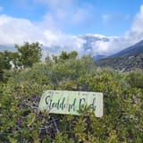 Stoddard Peak, California - 2,182 Reviews, Map | AllTrails