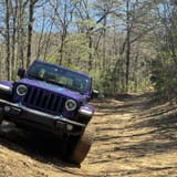 Nimblewill Gap OHV Road, Georgia - 363 Reviews, Map | AllTrails