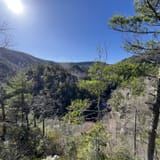 Babel Tower Trail (240), North Carolina - 1,035 Reviews, Map | AllTrails