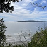Marine View Park Loop Trail, Washington - 540 Reviews, Map | AllTrails