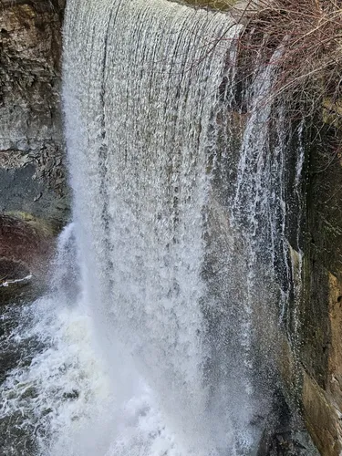 Best Hikes and Trails in Indian Falls Conservation Area | AllTrails