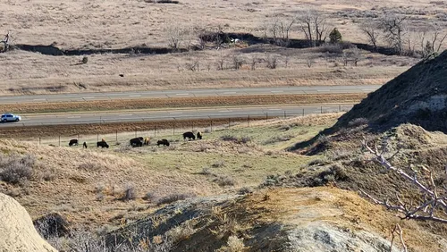 Best Short Trails in Medora | AllTrails