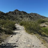 Ruth Hamilton Trail, Arizona - 3,280 Reviews, Map | AllTrails