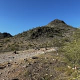 Ruth Hamilton Trail, Arizona - 3,280 Reviews, Map | AllTrails