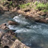Greer Spring Trail, Missouri - 338 Reviews, Map | AllTrails
