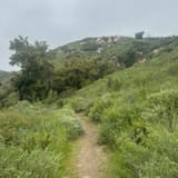 Ocean Overlook Loop, California - 1,003 Reviews, Map | AllTrails