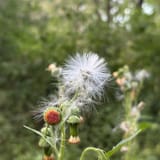 Middle Kobble Creek Falls , Queensland, Australia - 250 Reviews, Map ...