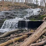 Wadsworth Falls Loop, Connecticut - 4,016 Reviews, Map | AllTrails
