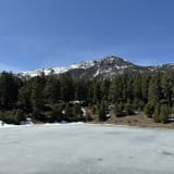 Beaver Ponds Loop Trail, Montana - 1,102 Reviews, Map | AllTrails