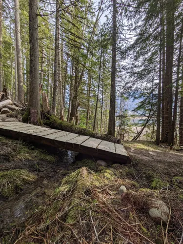 Best Forest Trails in Begbie Falls Recreation Site | AllTrails