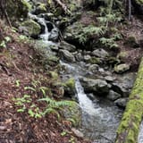 Bootjack Loop, California - 1,798 Reviews, Map | AllTrails