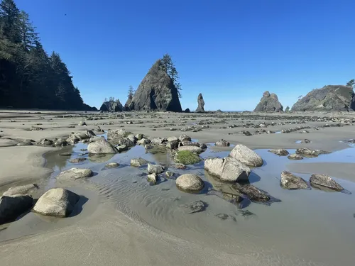 Best Camping Trails in Neah Bay | AllTrails