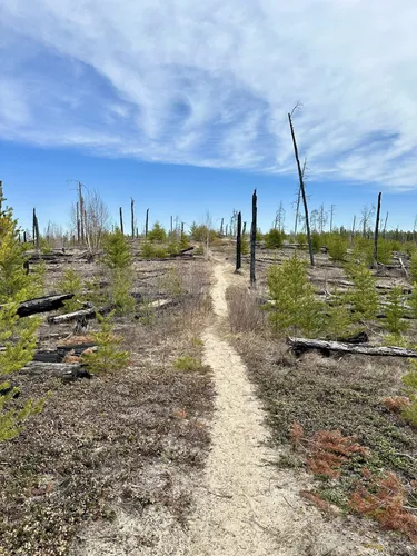 Best Backpacking Trails in Whiteshell Provincial Park | AllTrails