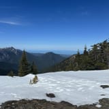 Mount Townsend Trail, Washington - 1,727 Reviews, Map | AllTrails