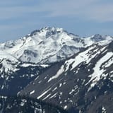 Mount Townsend Trail, Washington - 1,727 Reviews, Map | AllTrails