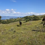 Ring Mountain via Loop and Phyllis Ellman Trail, California - 1,116 ...