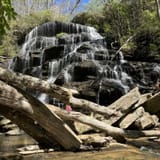 Yellow Branch Falls Trail, South Carolina - 2,694 Reviews, Map | AllTrails