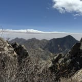 Organ Needle Trail, New Mexico - 829 Reviews, Map | AllTrails
