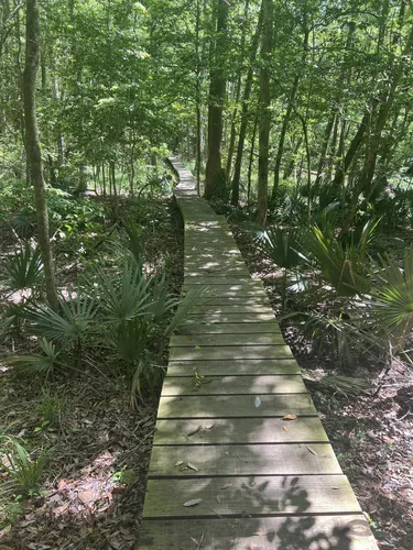 Best Kid Friendly Trails in Historic Blakeley State Park | AllTrails