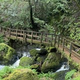 Cataract Falls Trail, California - 3,502 Reviews, Map | AllTrails