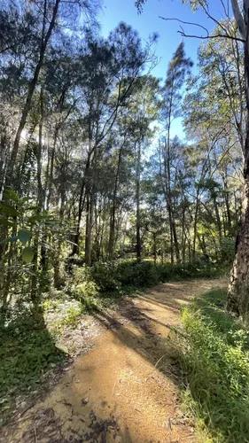 Best Hikes and Trails in Rouse Hill Regional Park | AllTrails