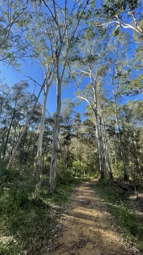 Best Hikes and Trails in Rouse Hill Regional Park | AllTrails