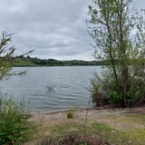 Puddingstone Reservoir Loop, California - 1,986 Reviews, Map | AllTrails