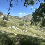 Kern River Trail, California - 315 Reviews, Map | AllTrails