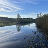 Mercer Slough Nature Park, Washington - 1,047 Reviews, Map | AllTrails