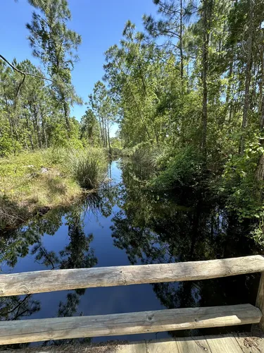 Best Bike Touring Trails in Gulf State Park | AllTrails