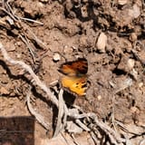 Mallory Cave, Colorado - 4,221 Reviews, Map | AllTrails