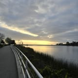 Lake Miramar Trail, California - 3,796 Reviews, Map | AllTrails