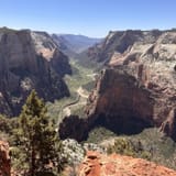 Observation Point via Stave Spring Trailhead, Utah - 450 Reviews, Map ...