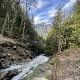 Ira Spring Memorial Trail, Washington - 2,014 Reviews, Map | AllTrails