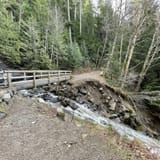 Ira Spring Memorial Trail, Washington - 2,014 Reviews, Map | AllTrails
