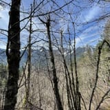 Ira Spring Memorial Trail, Washington - 2,014 Reviews, Map | AllTrails