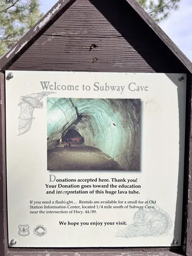 Best Kid Friendly Trails in Hat Creek | AllTrails